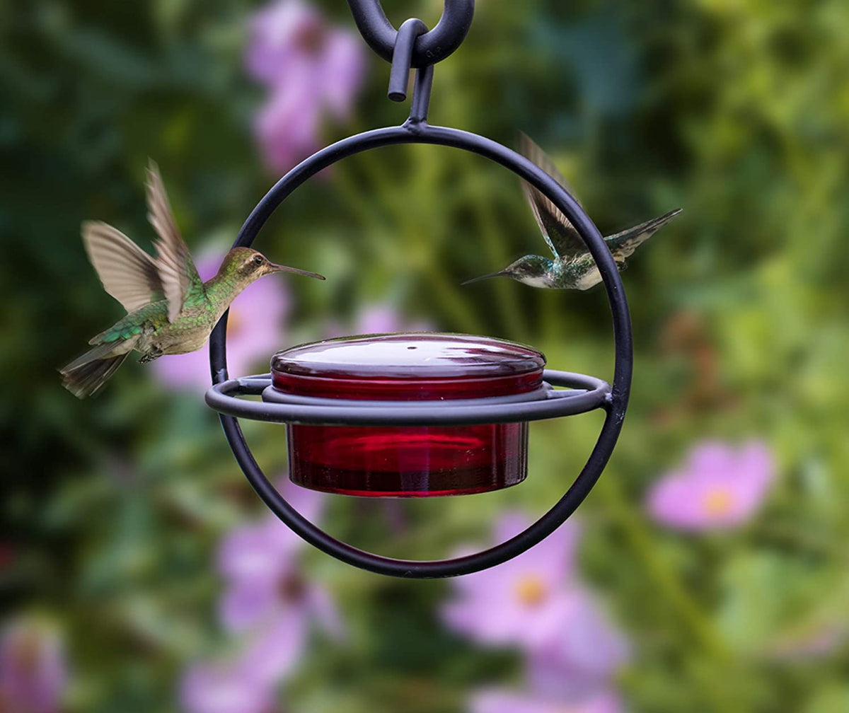 Circular Hanging Hummingbird Feeder Red Bowl & Lid, Black | Monarch ...
